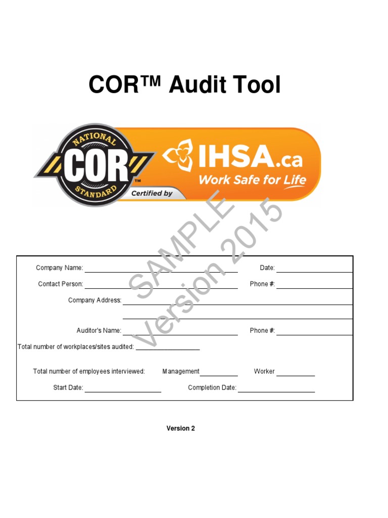 Cor Audit Tool Sample | PDF | Occupational Safety And Health | Personal ...