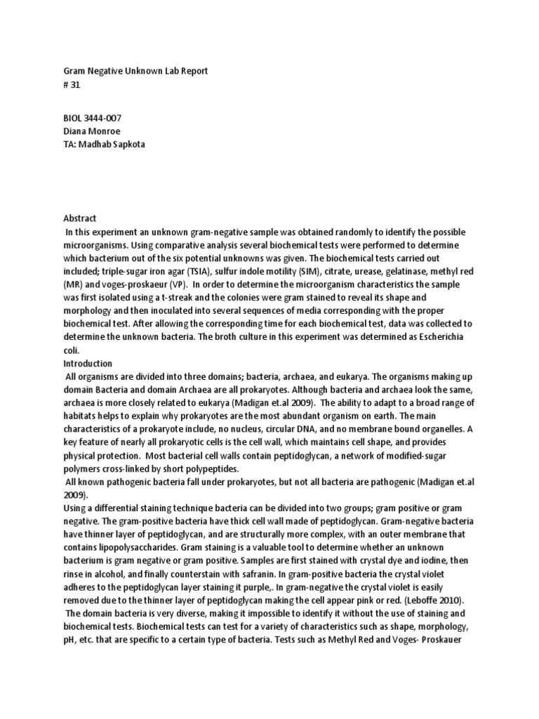 Microbiology Unknown Lab Report | PDF | Bacteria | Gram Positive Bacteria