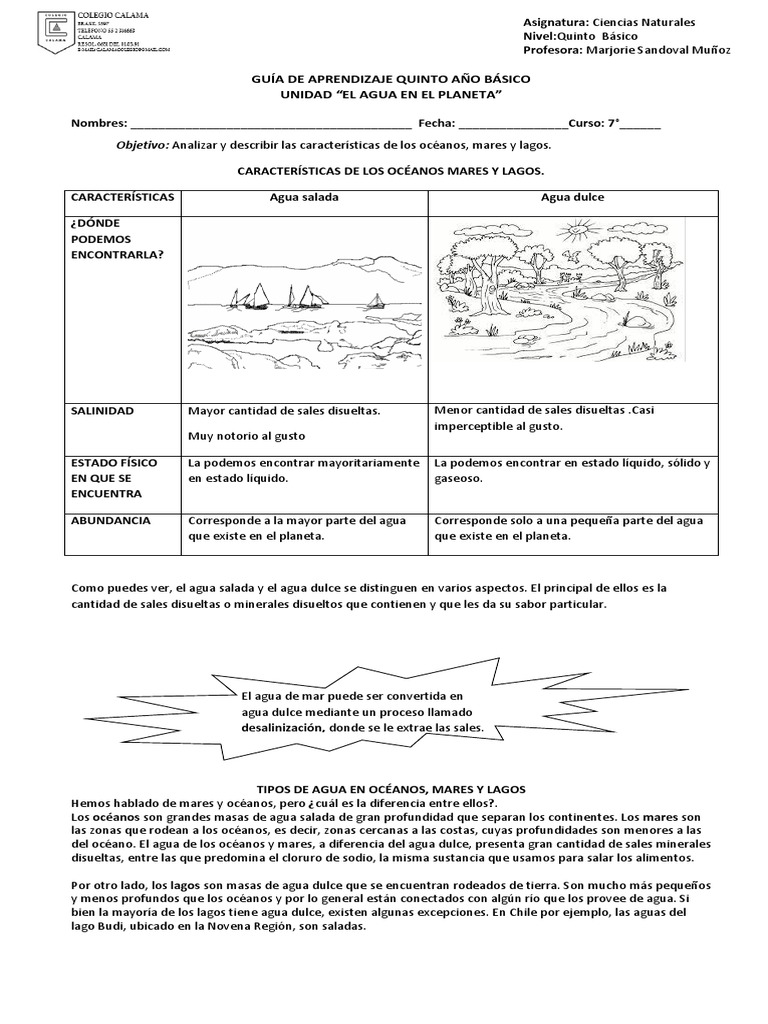 Guia El Agua 5° Basico | PDF | lago | Océanos