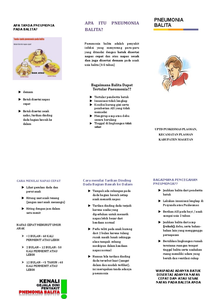Leaflet Pneumonia | PDF