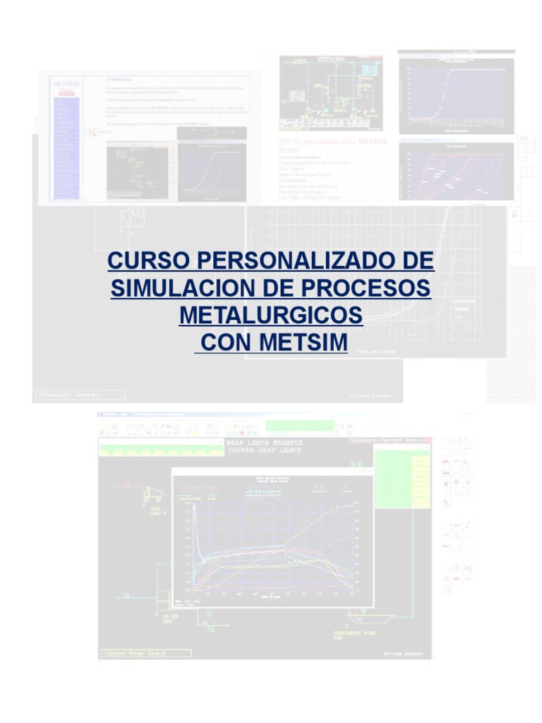 Curso Basico Metsim 2017 (2 Días) | Descargar gratis PDF | Programa de ...