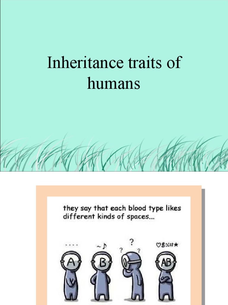 Inheritance Traits of Humans 2 | PDF | Allele | Chromosome