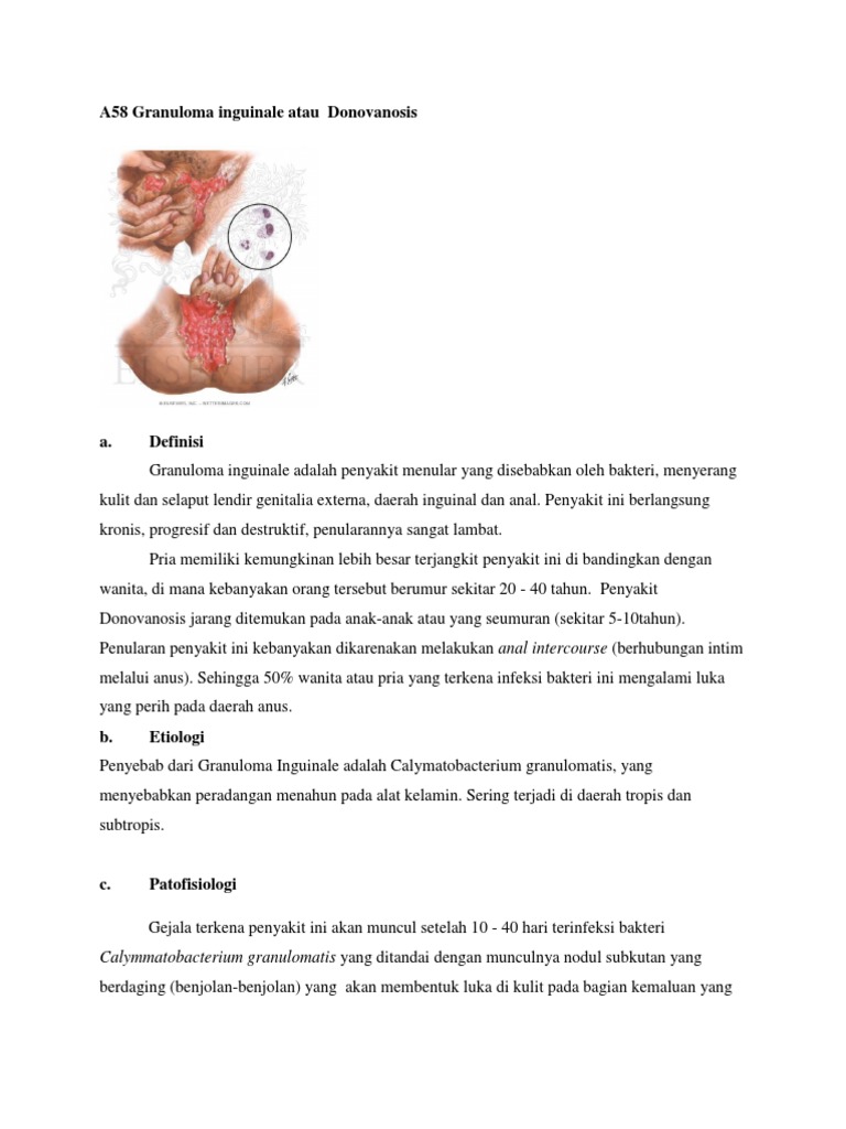 Granuloma Inguinale Atau Donovanosis | PDF