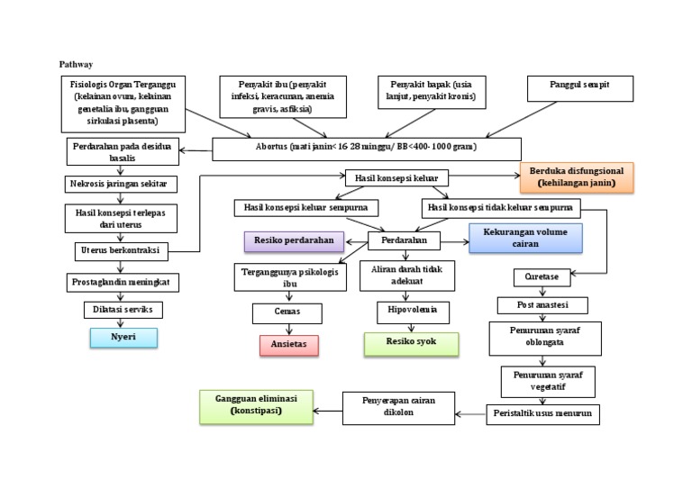 Pathway Abortus dan Berduka | PDF