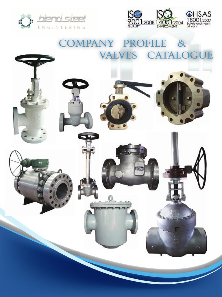 Profile of BSE | PDF | Valve | Mechanical Engineering