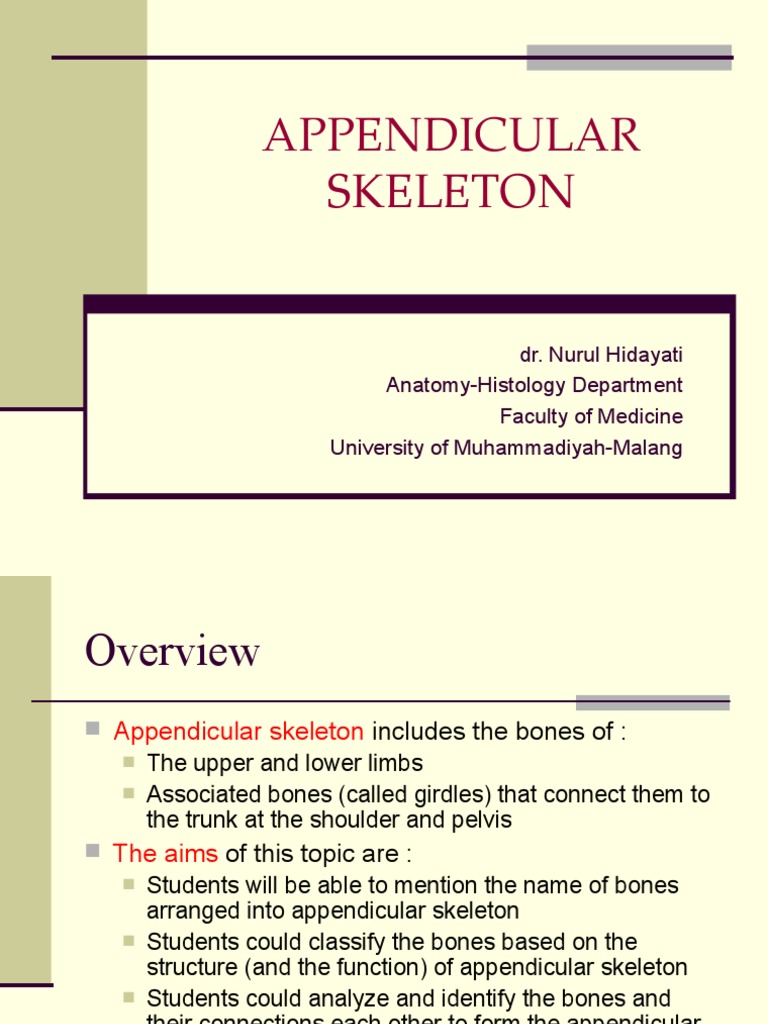 Appendicular Skeleton Overview Guide | PDF | Pelvis | Shoulder