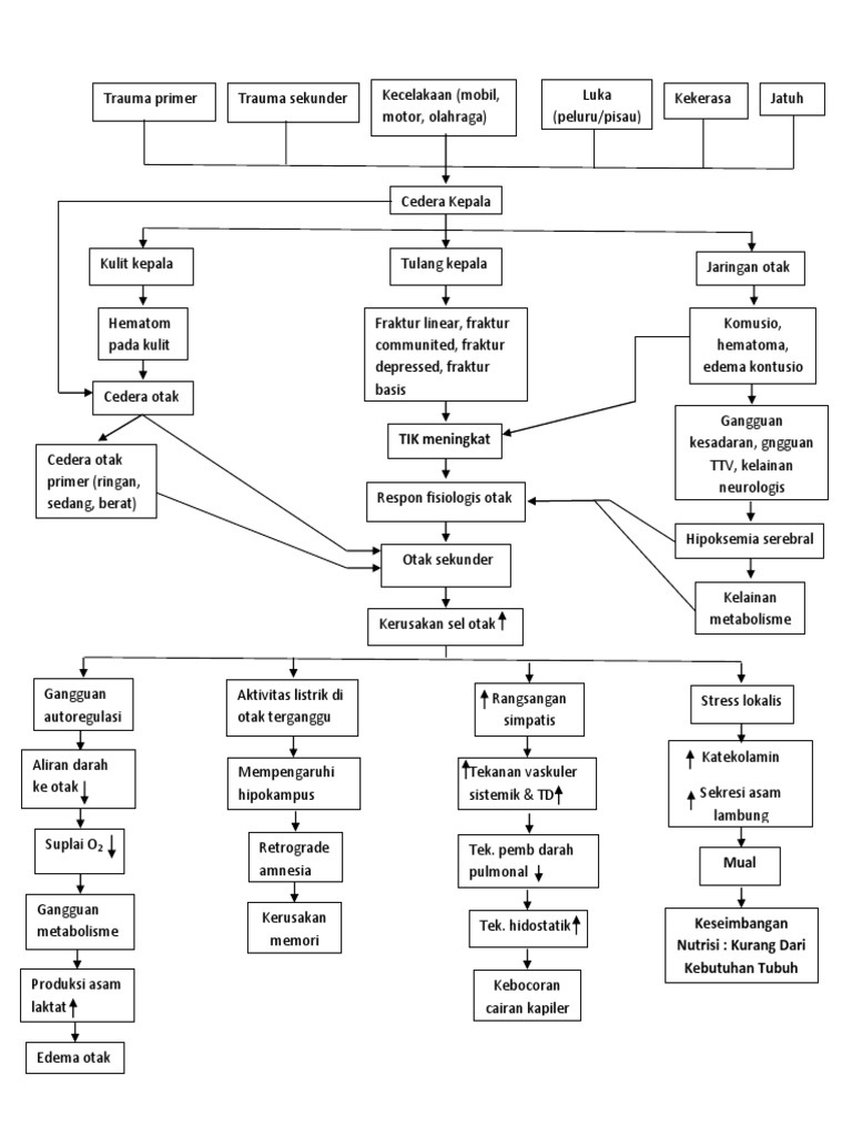 Pathway Cedera Kepala | PDF