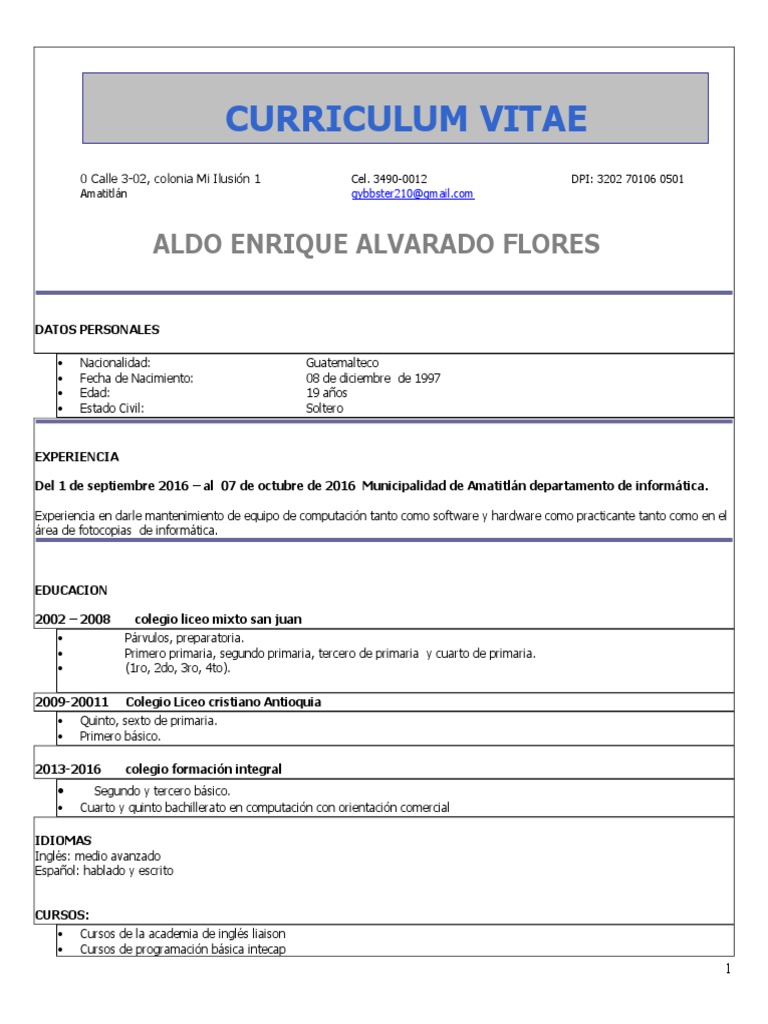 Curriculum Aldo | PDF | Software | Tecnología digital