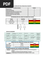 Valoración Escala de Funcionalidad de Crichton | PDF | Medicina CLINICA ...