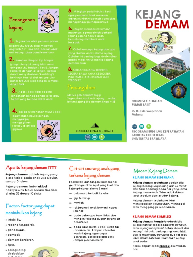 Kejang Demam Leaflet | PDF