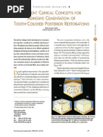 Monobond Plus - Instructions For Use | PDF | Water | Materials