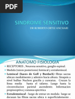 Signo de Mapache | PDF | Lesión | Medicina