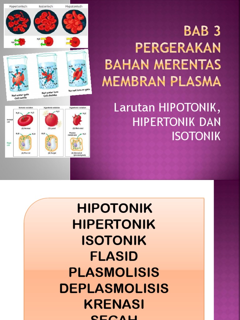 Hipotonik 160222174401 | PDF