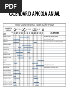 Circuito Productivo de La MIEL | PDF | Apicultura | Miel
