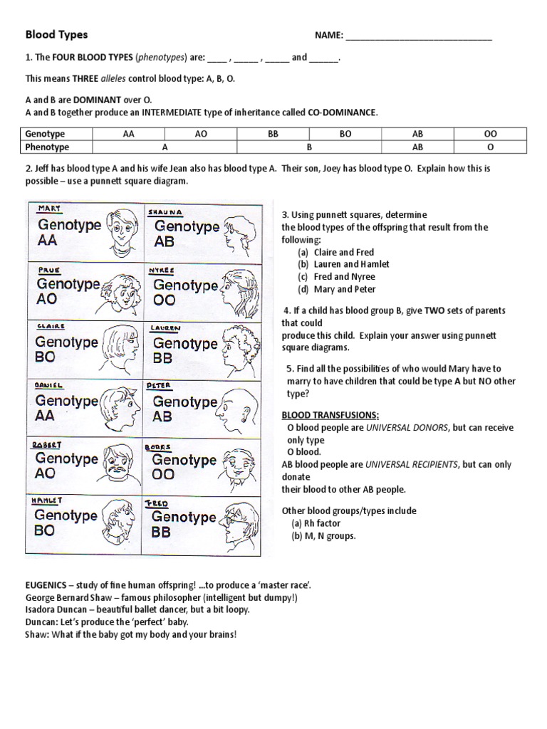 Blood Group Inheritance Worksheet Punnett Square Practice: Codominance