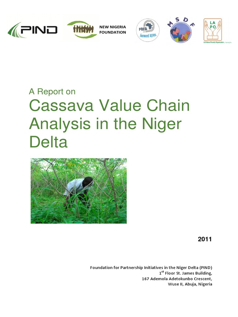 Cassava Value Chain Analysis | PDF | Nigeria | Foods
