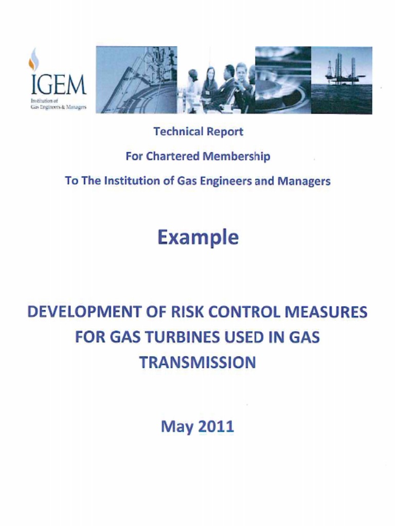 Ceng Technical Report Example | PDF