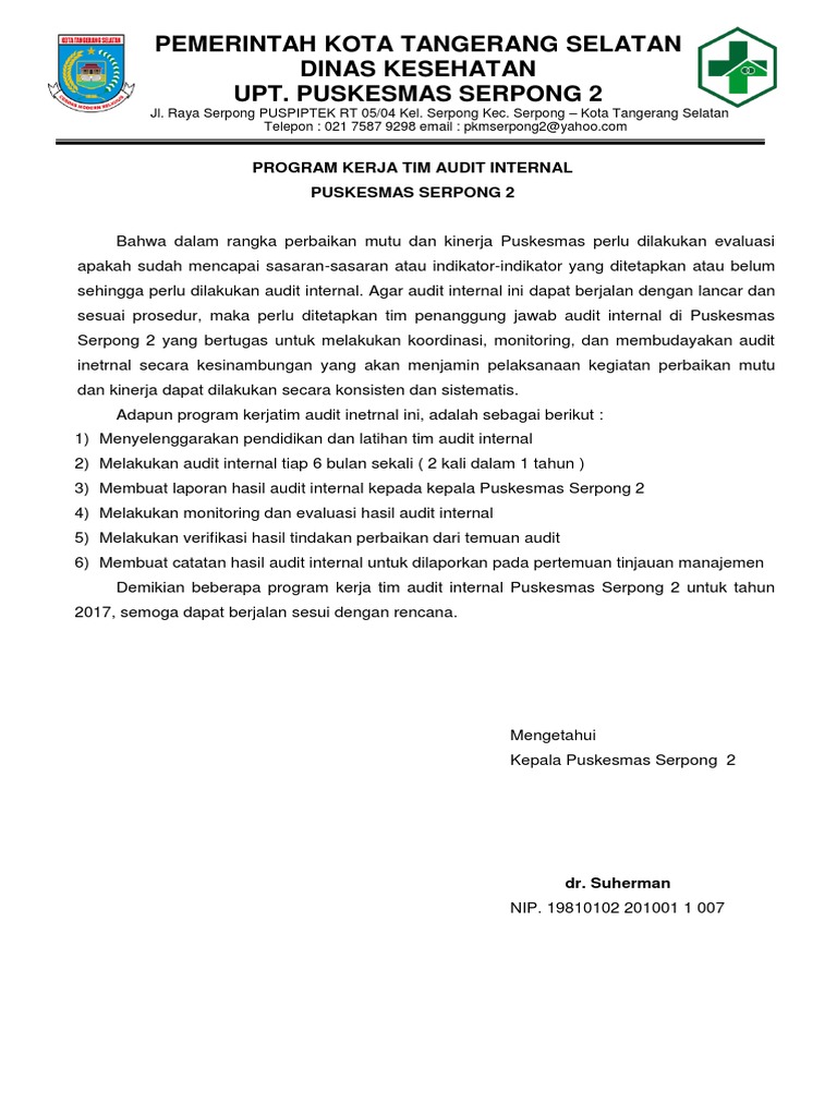 Program Audit Internal Puskesmas Serpong 2 | PDF