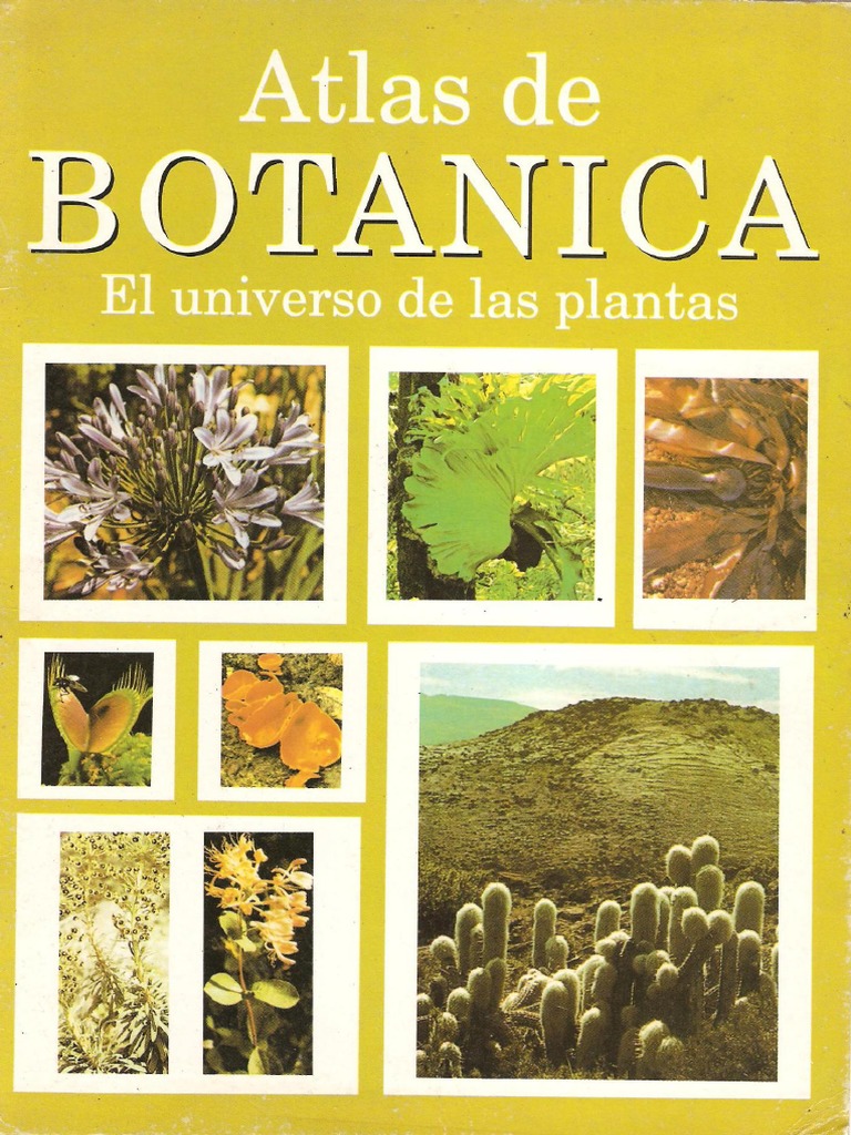 Atlas de Botanica PDF | PDF