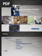 BARACARB | PDF | Chemistry | Nature