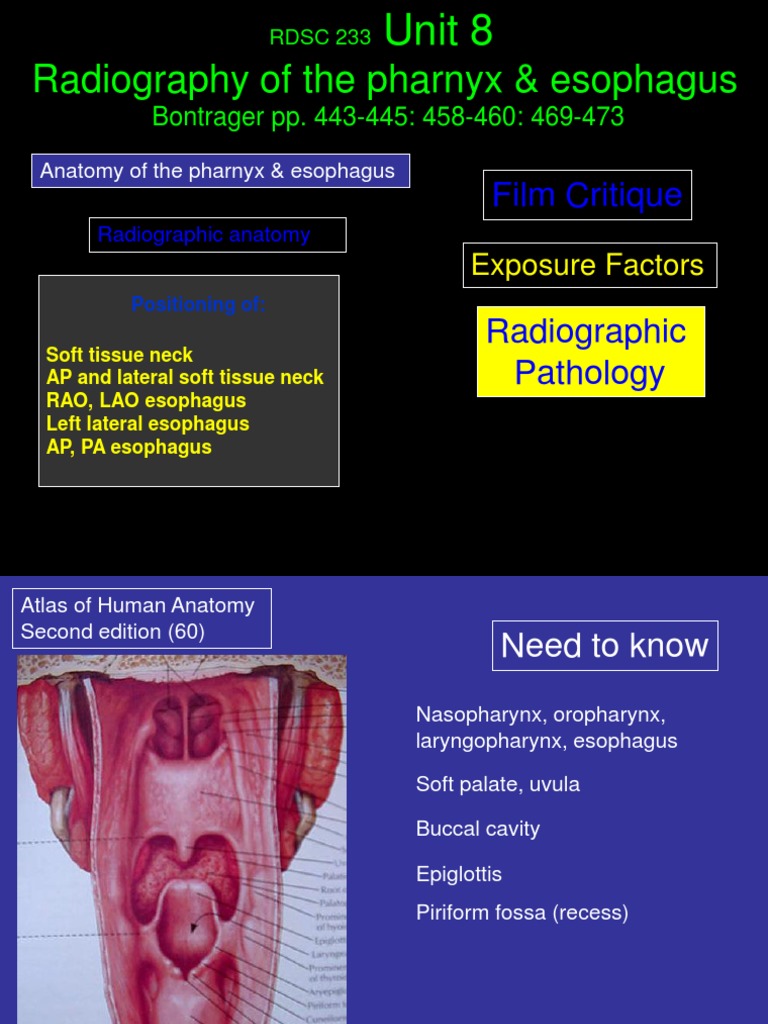 esoph | Esophagus | Human Anatomy | Free 30-day Trial | Scribd