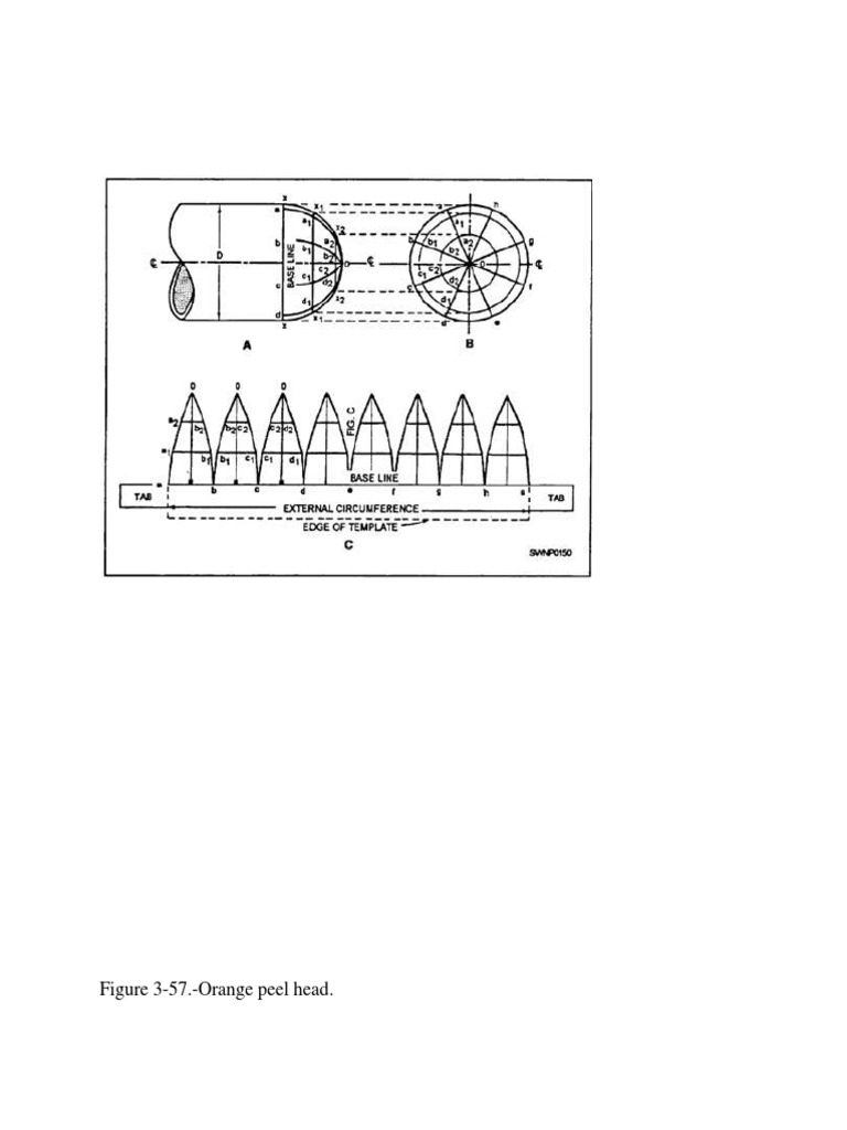 Orange Peel Layout | PDF | Teaching Mathematics | Nature