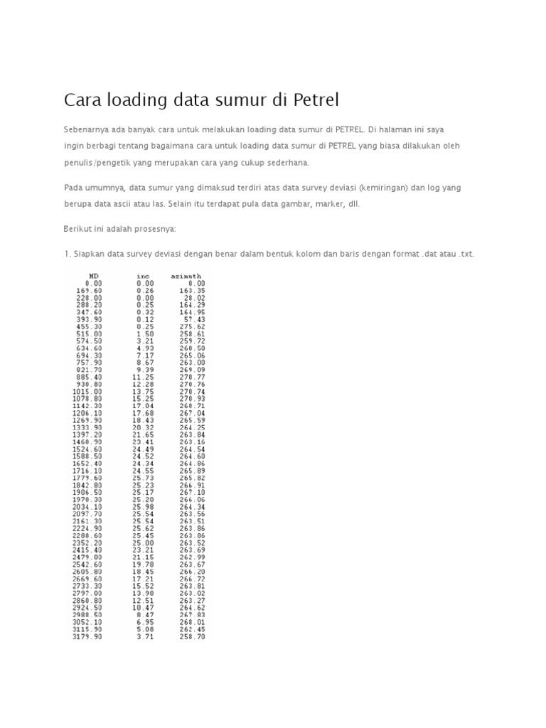 Cara Loading Data Sumur Di Petrel | PDF