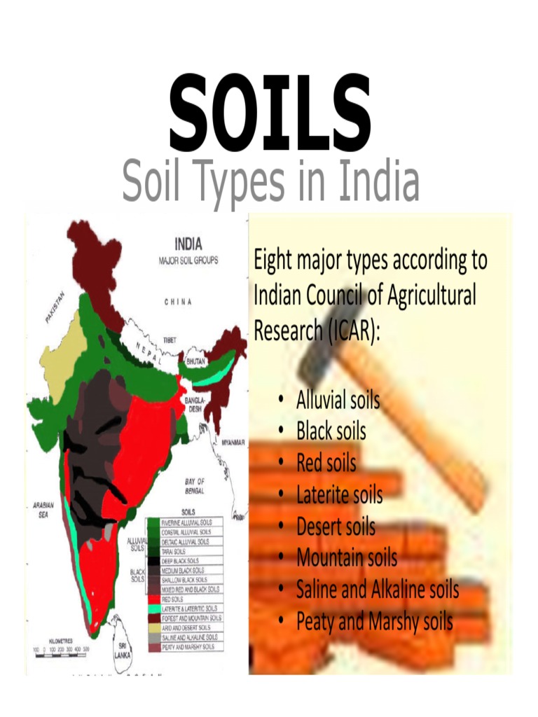 Soil Types in India | PDF