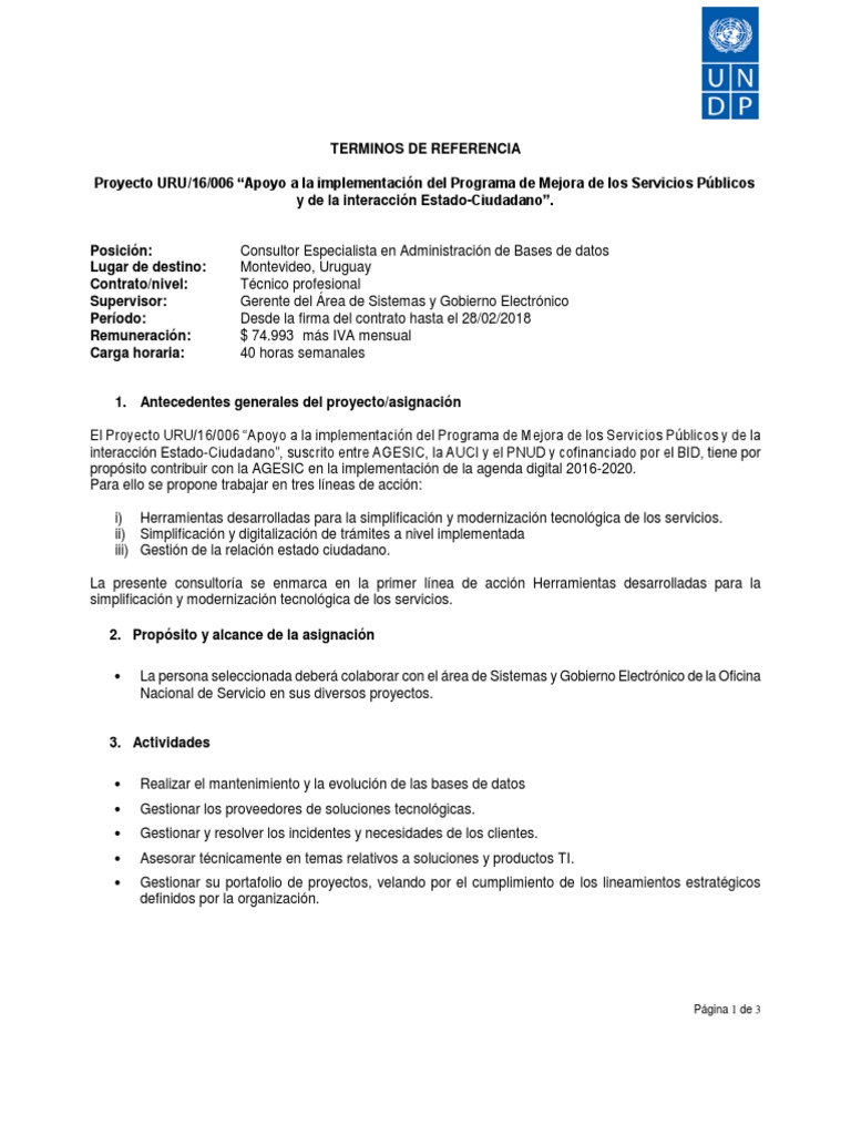 TDR PNUD Consultor Base de Datos | PDF | Vuelo salvaje | Gobierno E