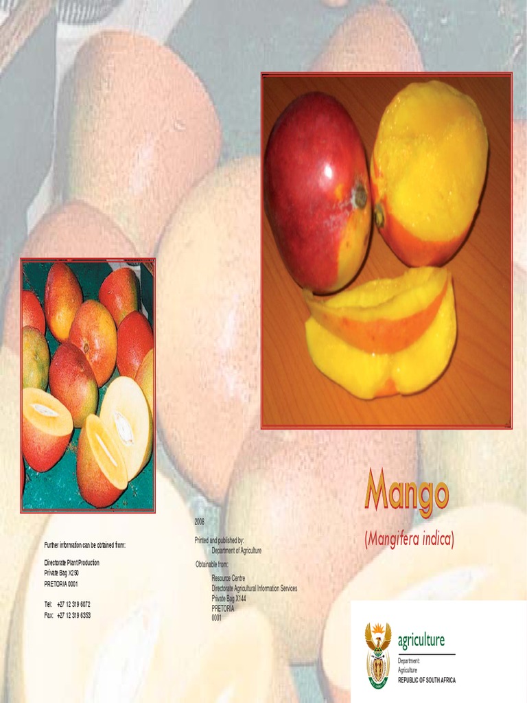 Brochure Mango | Download Free PDF | Mango | Soil
