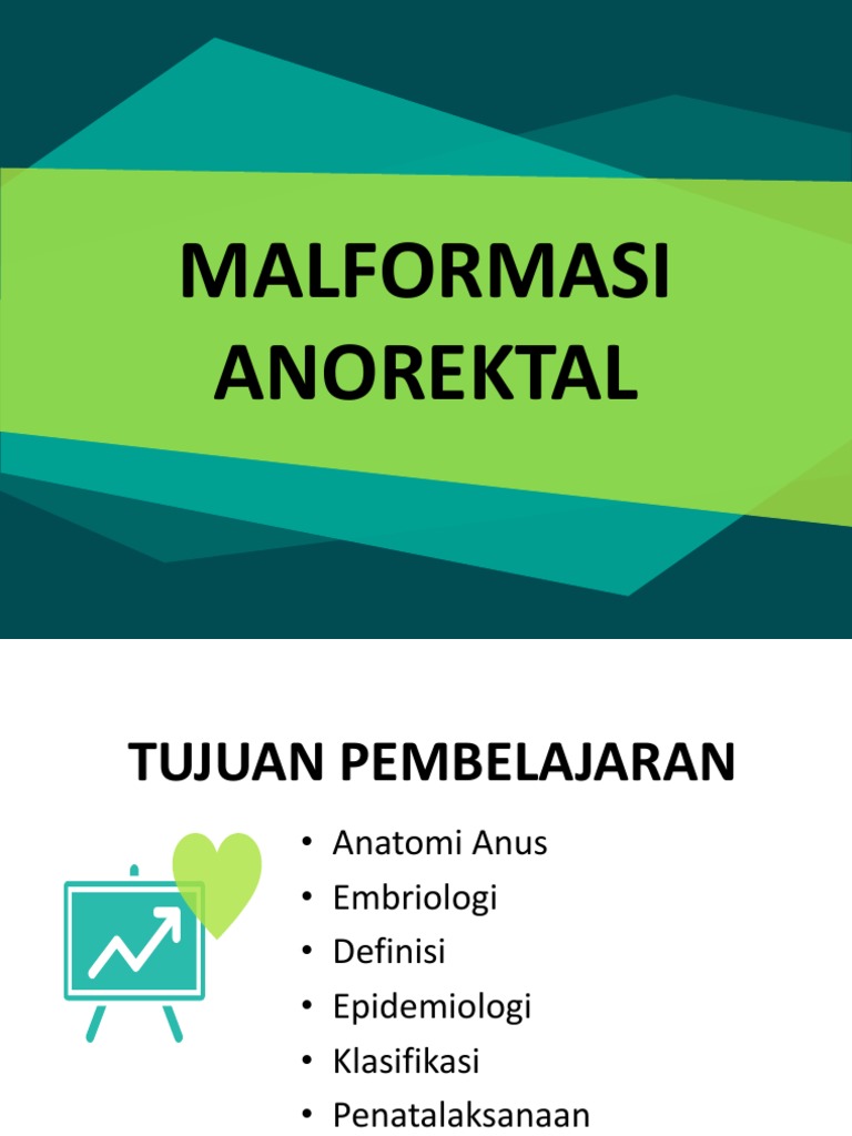 Malformasi Anorektal | PDF