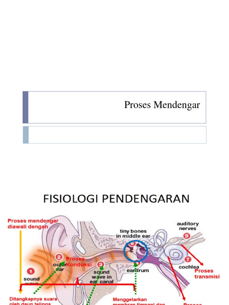 Proses Mendengar | PDF | Sains & Matematika