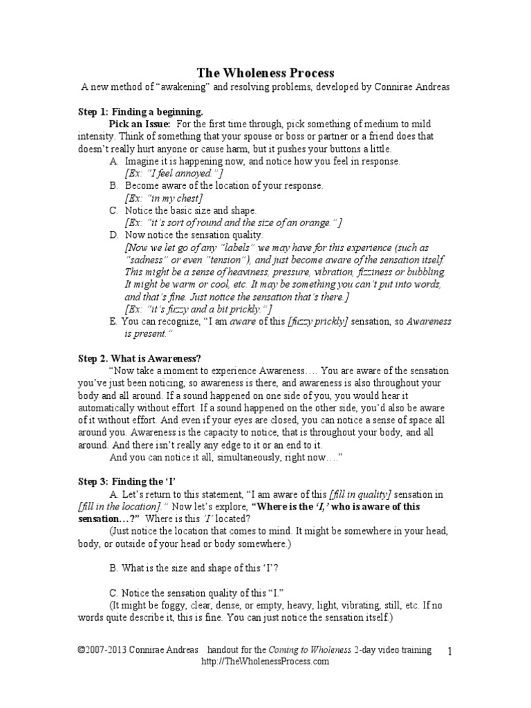 Wholeness Process Basic Form | PDF | Awareness | Feeling