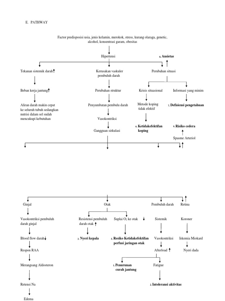 PATHWAY Hipertensi | PDF