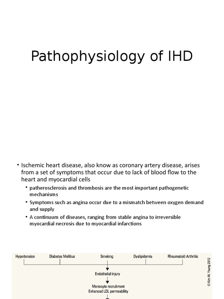 Pathophysiology of Ihd | PDF