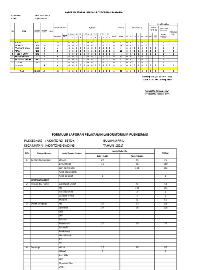 Laporan Bulanan Lab | PDF