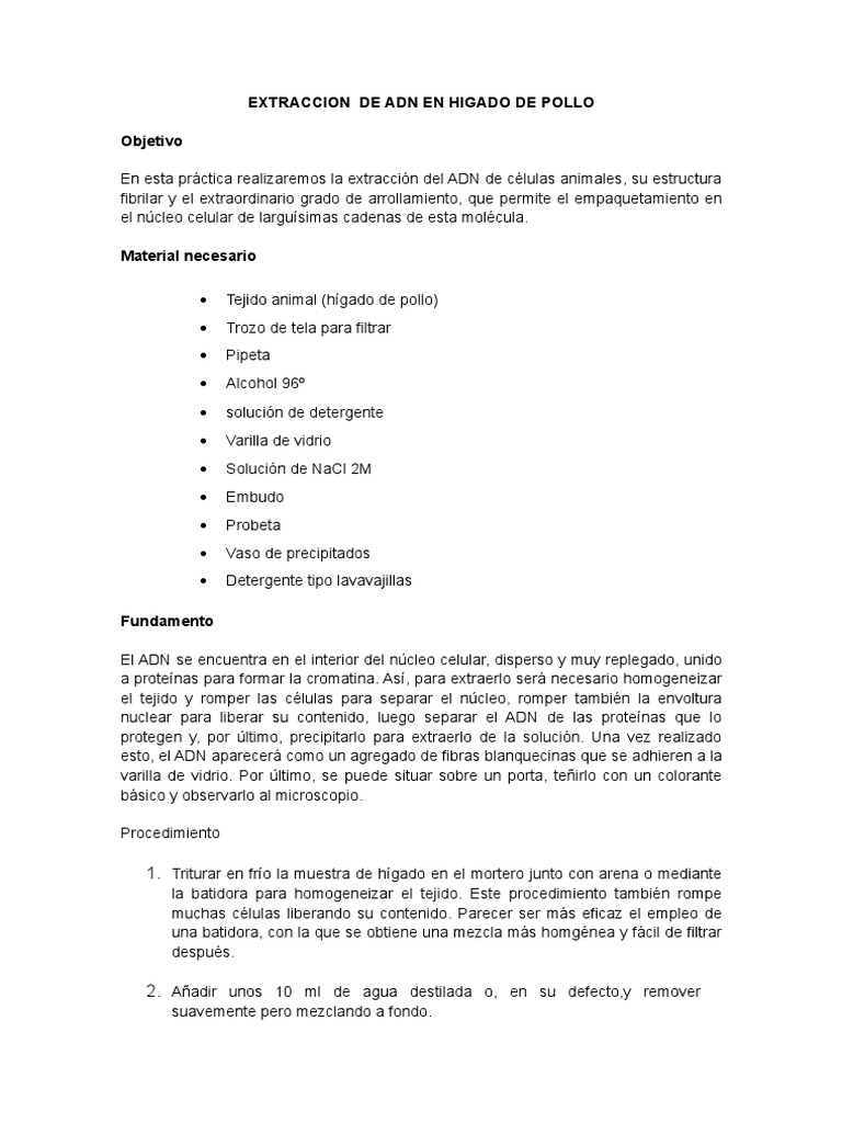 Extraccion de Adn | PDF | Adn | Nucleo celular