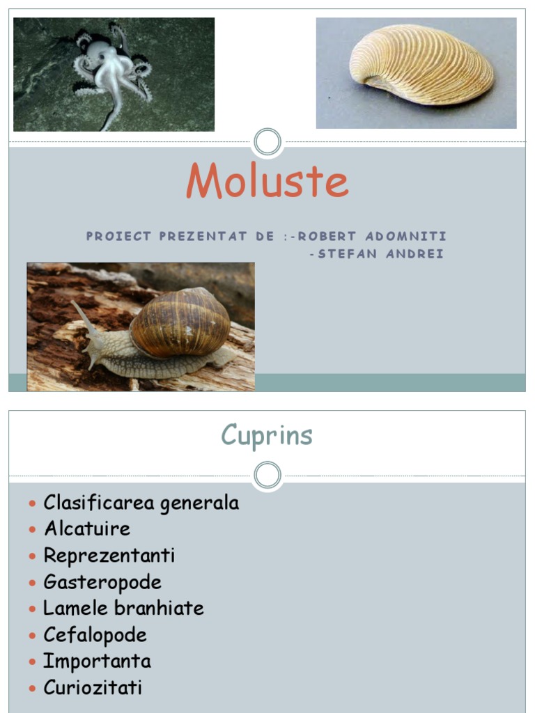 Moluste | PDF