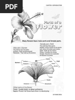 Science Form 2 Exam Paper | PDF | Computer File