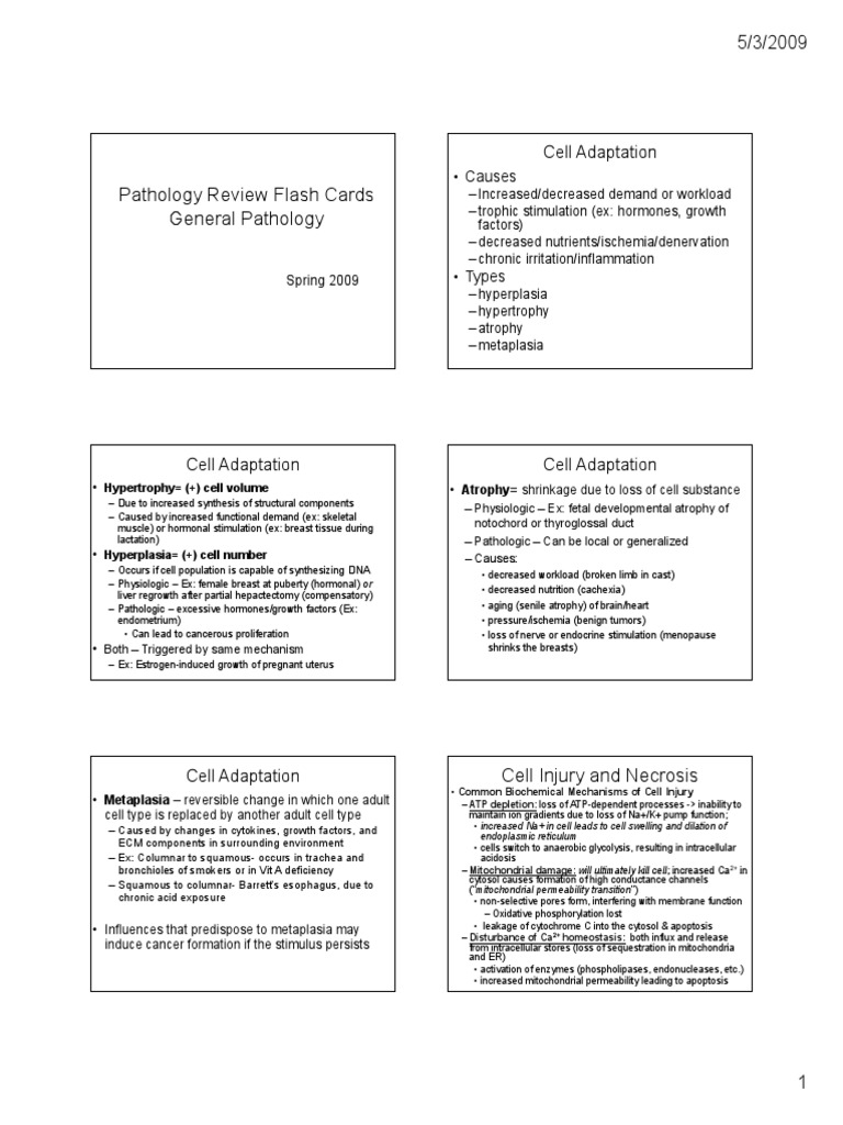 Pathology Notes 2009 | PDF | Apoptosis | Inflammation