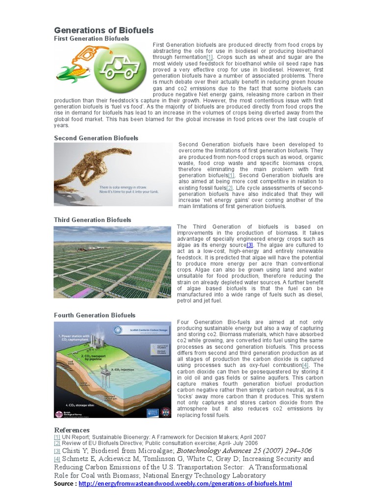 Biofuels Worksheet | PDF | Algae Fuel | Biofuel