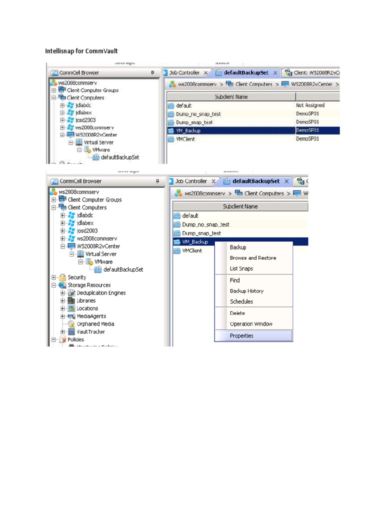 Intellisnap For CommVault | PDF