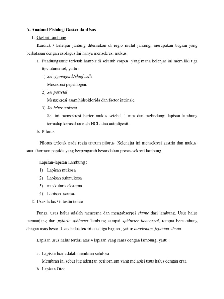 Anatomi Fisiologi Diare | PDF