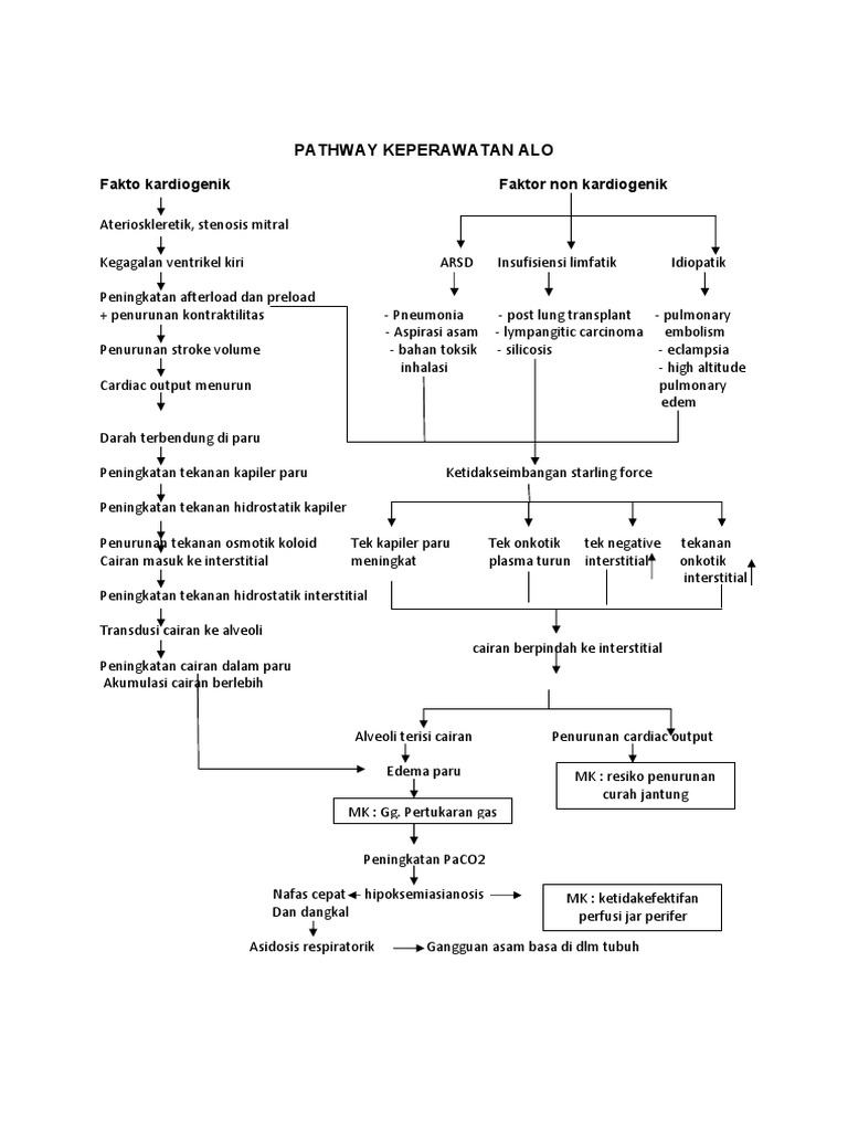 Pathway Keperawatan Alo | PDF