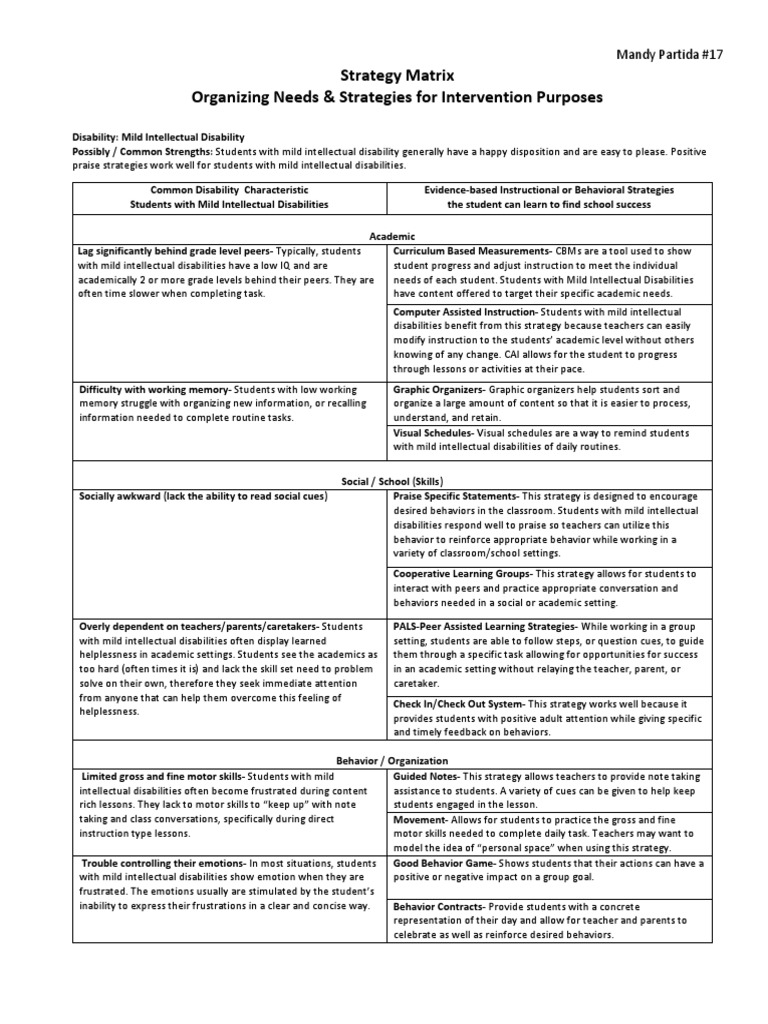 Strategy Matrix Organizing Needs & Strategies For Intervention Purposes ...