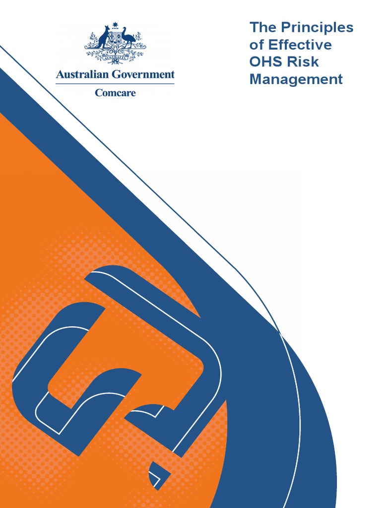 The Principles of Effective OHS Risk Management | PDF | Occupational ...