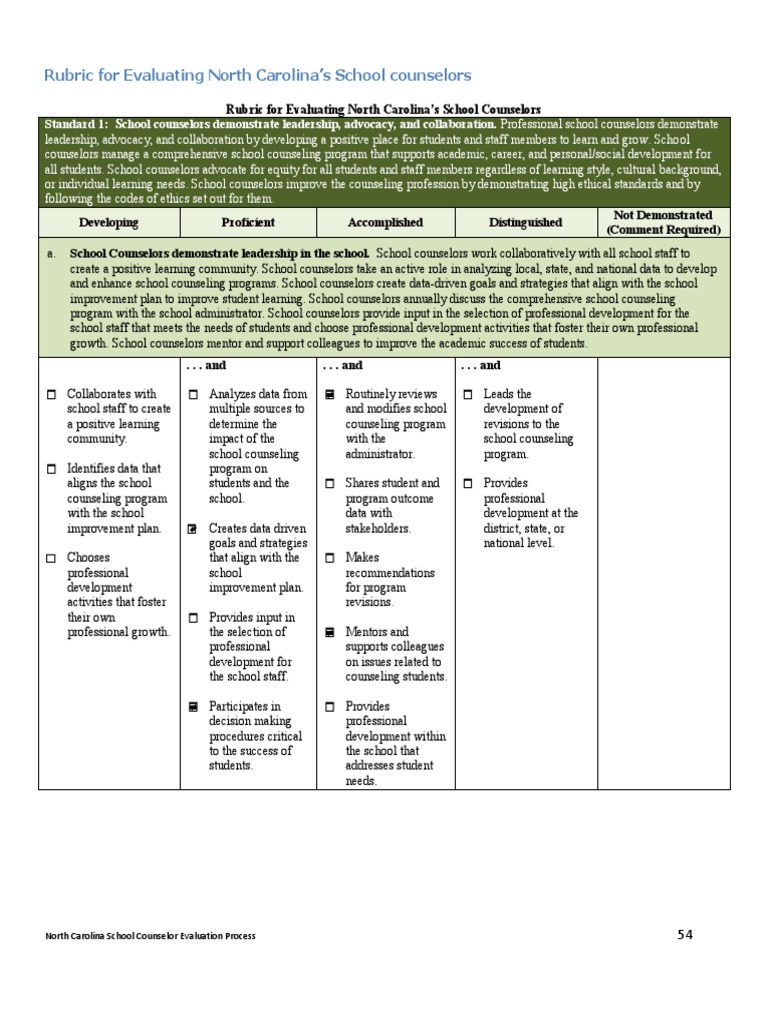 School Counselor Self Evaluation | PDF | School Counselor | Curriculum