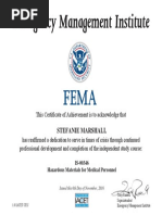 FEMA Org Chart | PDF | United States Department Of Homeland Security ...
