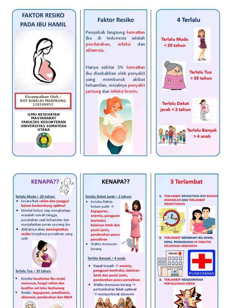 Leaflet Kehamilan | PDF