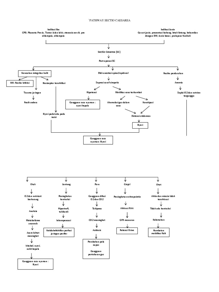Pathway Sectio Caesarea